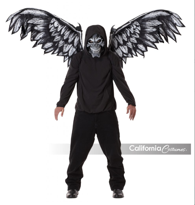 Fallen Angel Mask and Wings-Adult – ExperienceCostumes.com